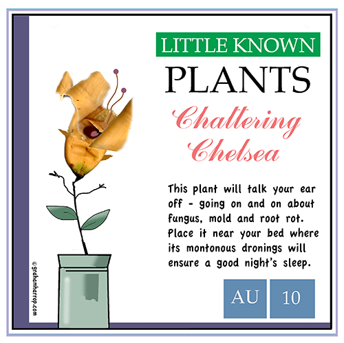 Potpourri – August 10th – Graham Harrop Cartoons